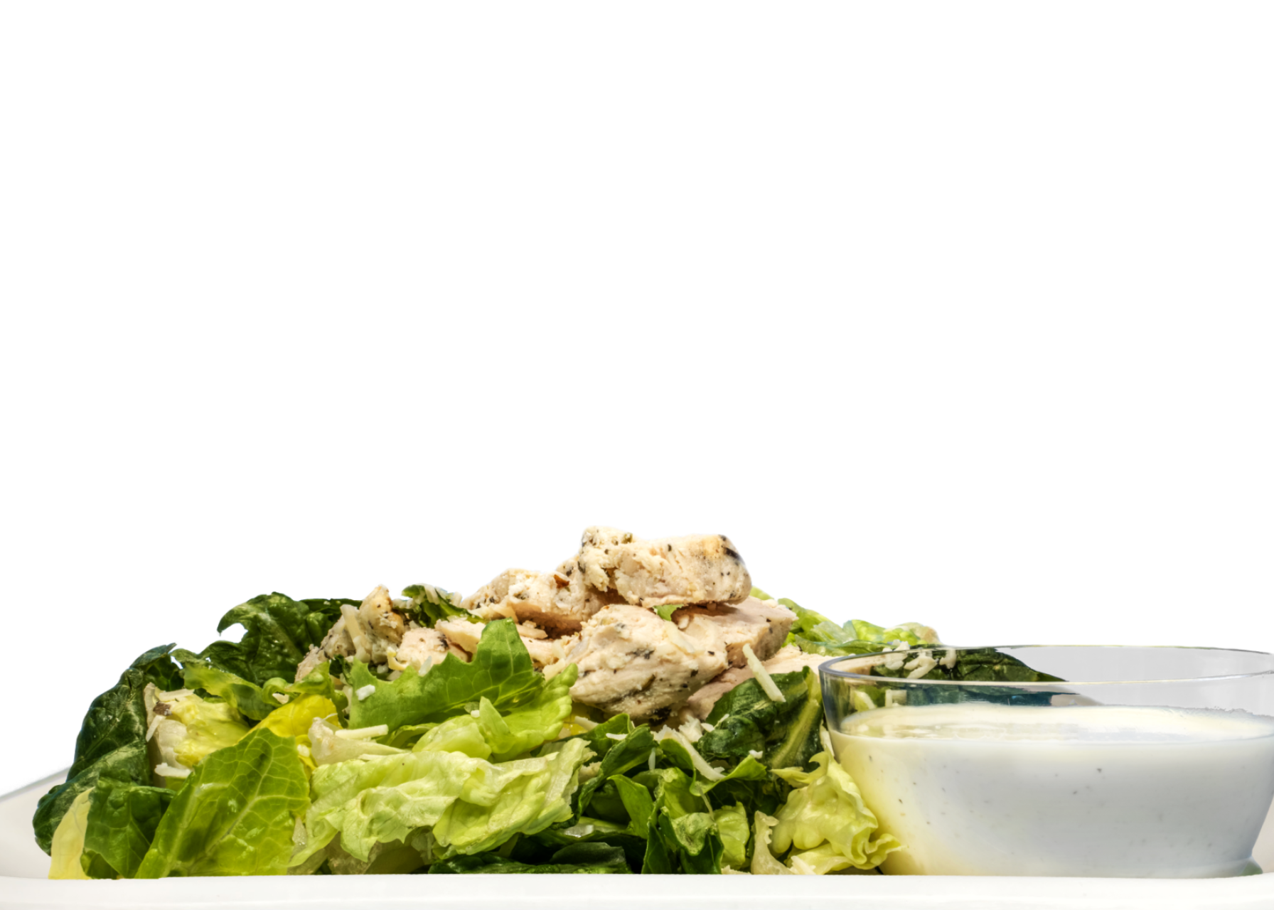 Chicken Caesar Salad
